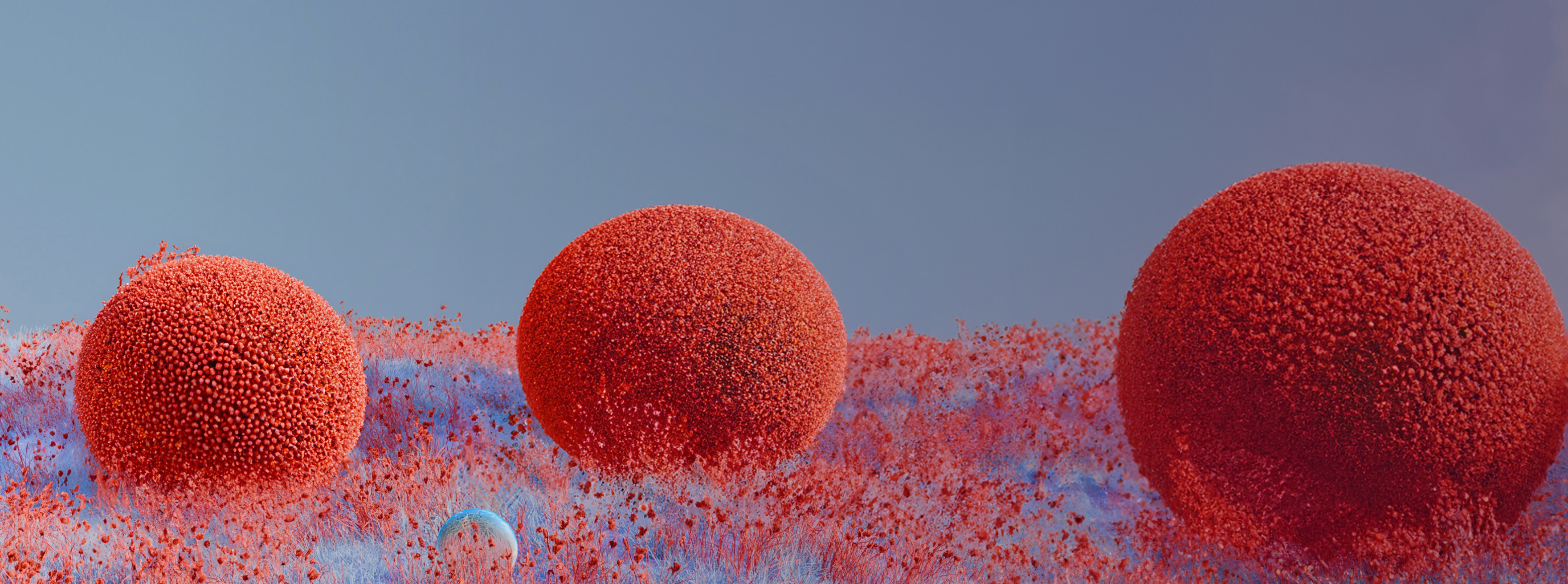 Virtual/Augmented Reality (AR/VR) App Development | Vention